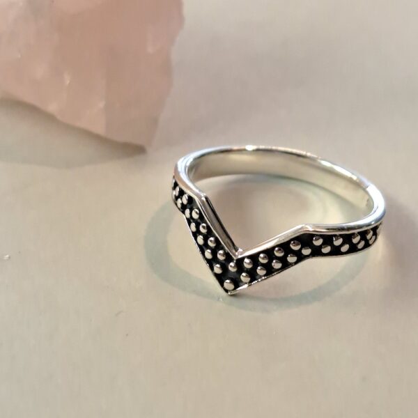 Minimalist Archives - Nomadic Ant